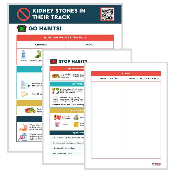 CKD: Handouts_kidneystones - Kidney Nutrition Library